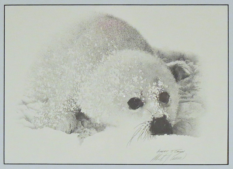 Albert J. Casson Signed Baby Seal Print – Canadian Artist - Etsy