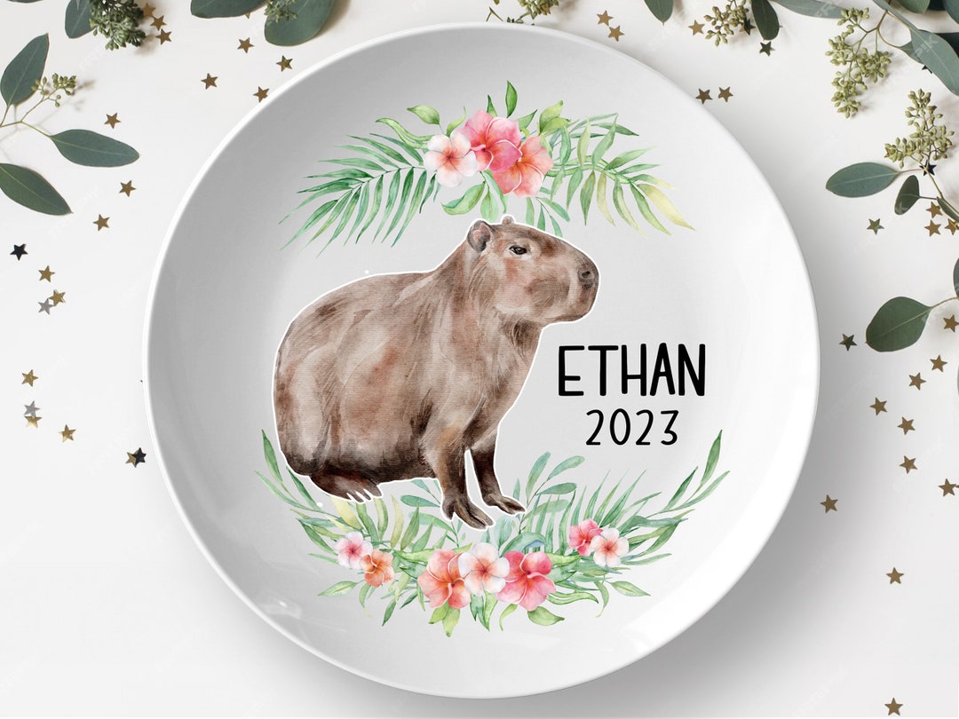 Capybara Plate, Personalized Plate for Kids, Christmas Plate, Kids ...