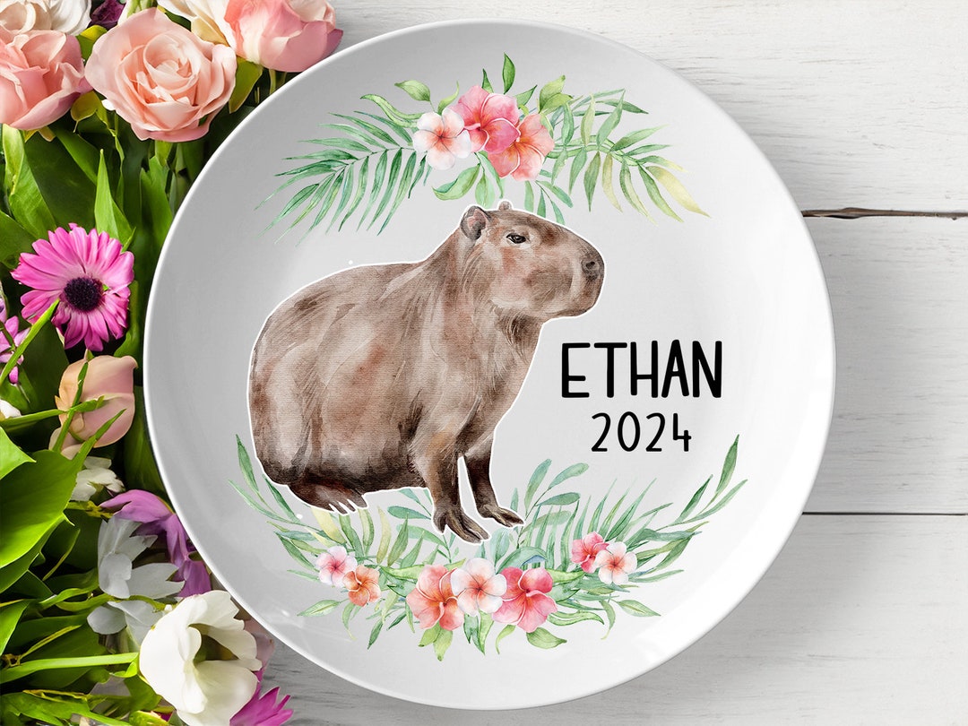 Capybara Plate, Personalized Plate for Kids, Christmas Plate, Kids ...