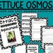 Quick and Easy Science Experiment: Celery (or Lettuce) Osmosis - Etsy