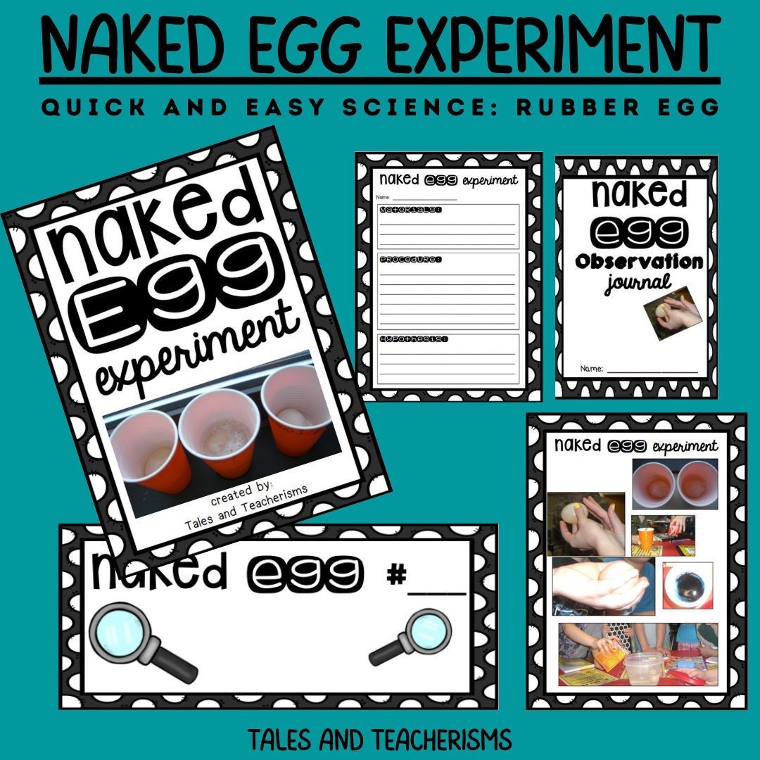 Quick and Easy Science Experiment: Create a Rubber (naked)egg in Your ...