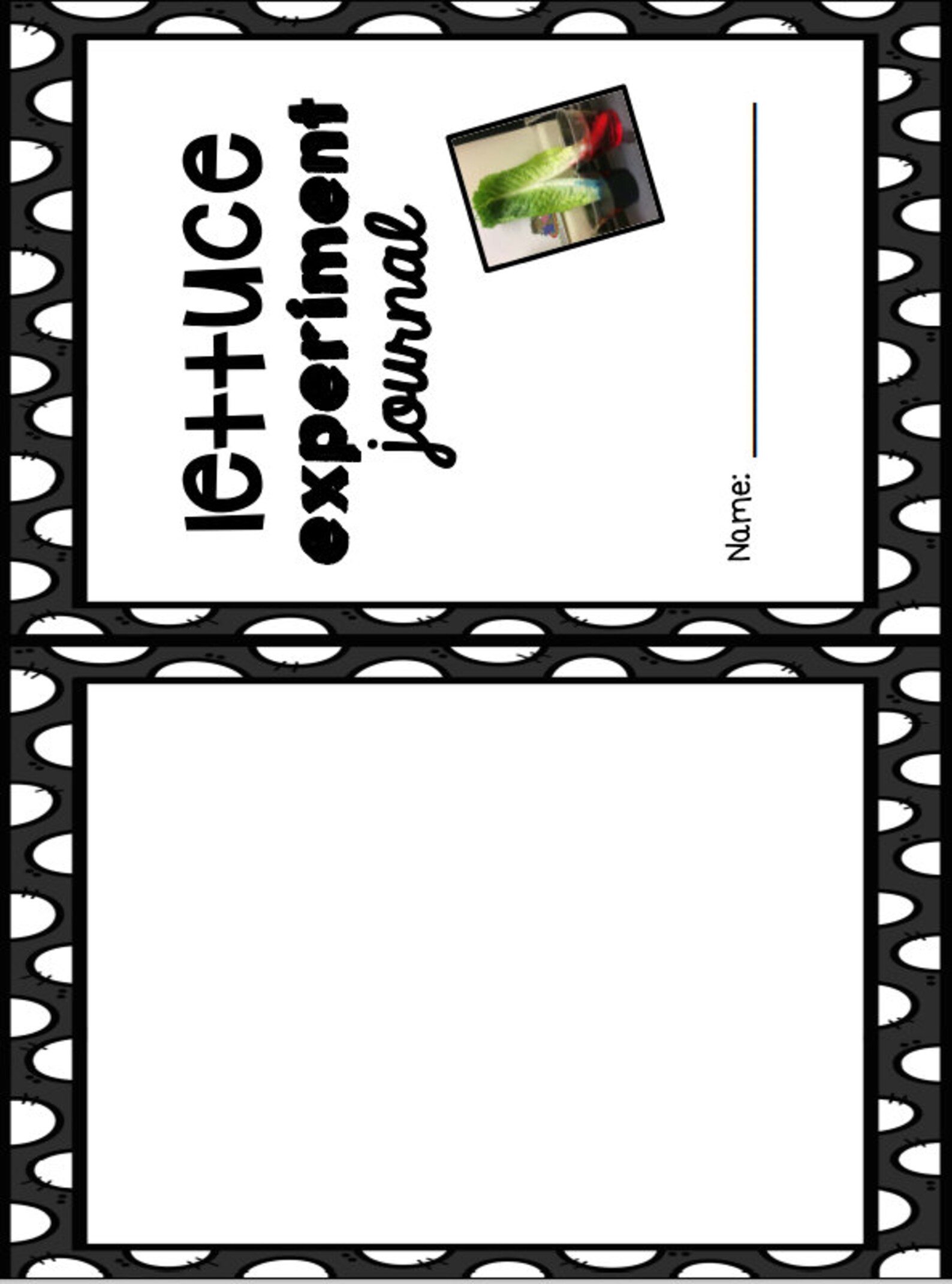 Quick and Easy Science Experiment: Celery (or Lettuce) Osmosis - Etsy