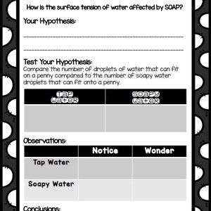 Quick and Easy Science Experiment: STEM Surface Tension on a Penny - Etsy