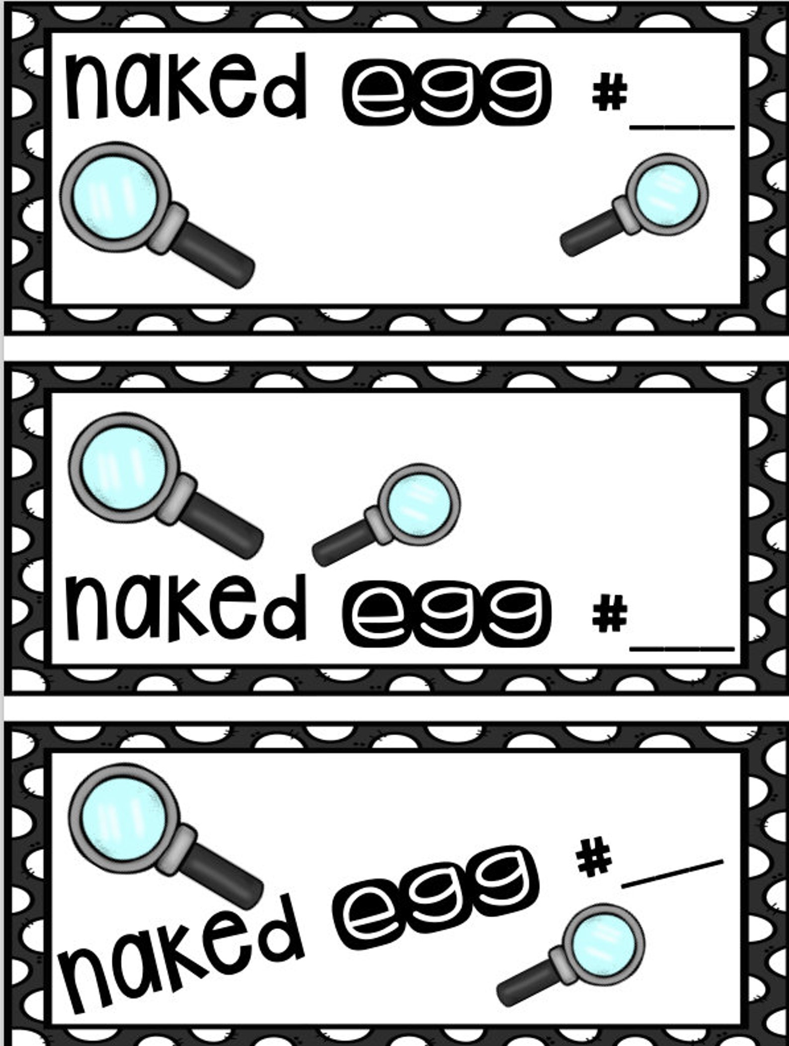 Quick and Easy Science Experiment: Create a Rubber (naked)egg in Your ...