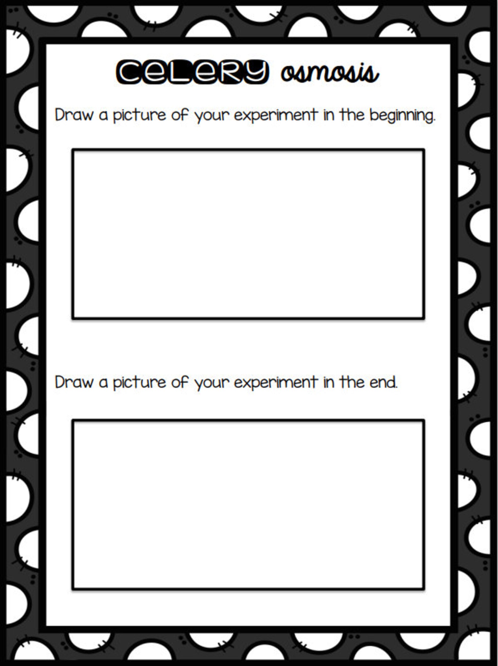 Quick and Easy Science Experiment: Celery (or Lettuce) Osmosis - Etsy