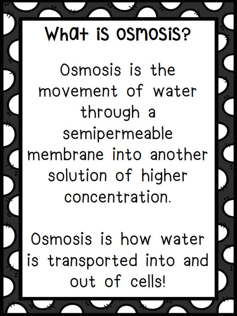 Quick and Easy Science Experiment: Celery (or Lettuce) Osmosis - Etsy