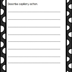 Quick and Easy Science Experiment: Celery (or Lettuce) Osmosis - Etsy