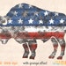 Buffalo PNG, Patriotic Png, Bison PNG, Western PNG, Vintage Rodeo ...