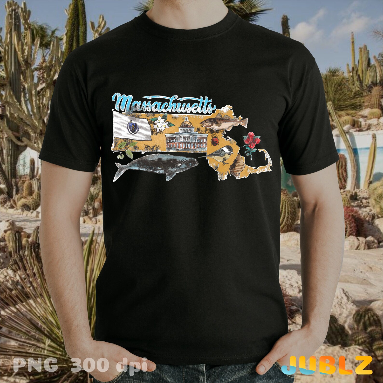 Massachusetts Png, Massachusetts State Png, Massachusetts Clipart ...