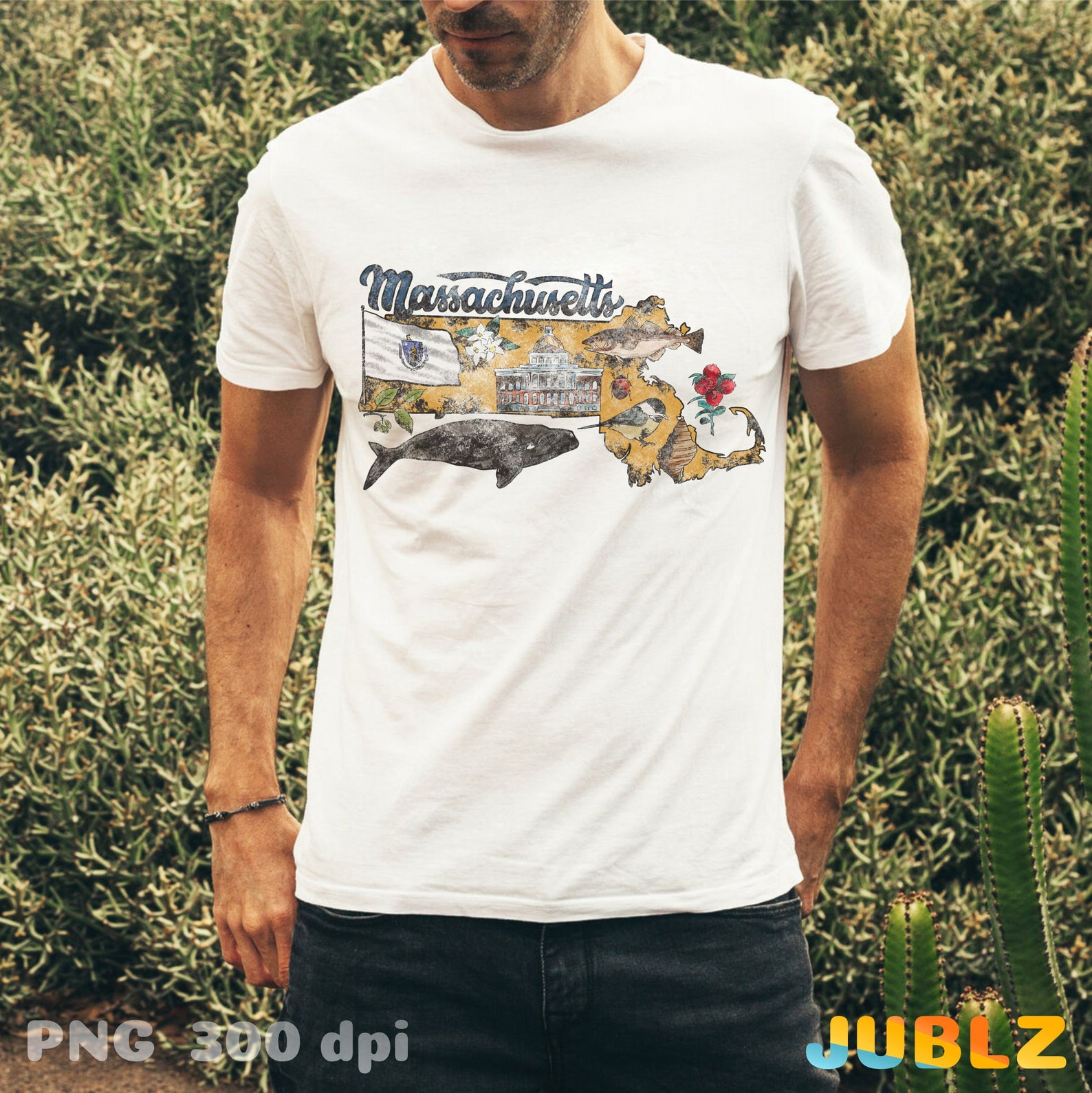 Massachusetts Png, Massachusetts State Png, Massachusetts Clipart ...