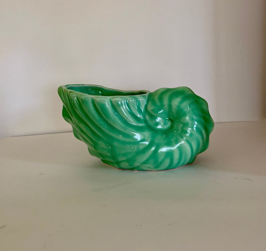 Green Nautilus Shell Planter - Etsy