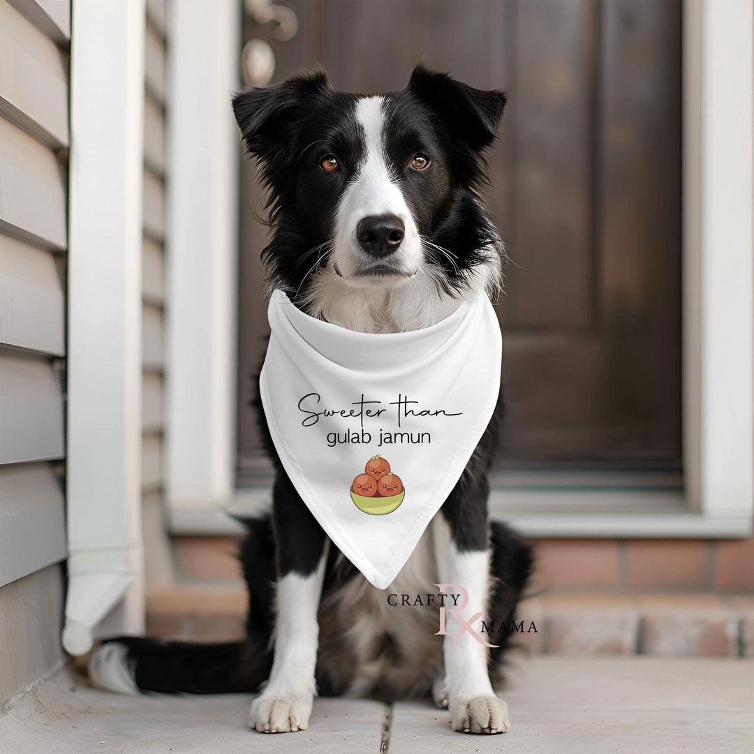 Sweeter Than Gulab Jamun Dog Bandana | Baby Shower Gift | South Asian ...