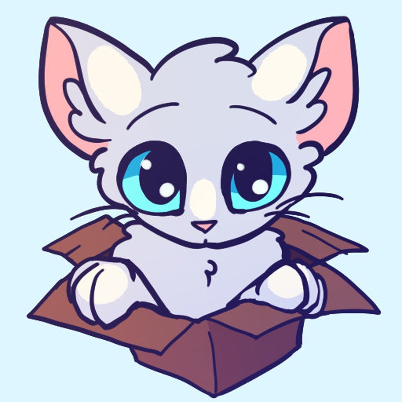 5 Digital Emotes Bundle Pack Box Cats Kitty Twitch Emotes - Etsy