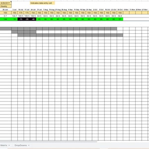 Gantt Scheduling: Man Hours Budgeting Included - Etsy
