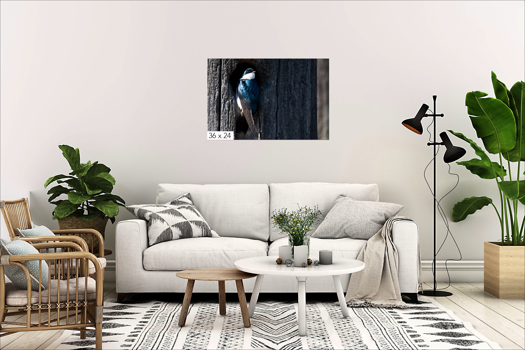 Tree Swallow in Tree Hole Bird Photo Print Little Bird Photo Tree ...
