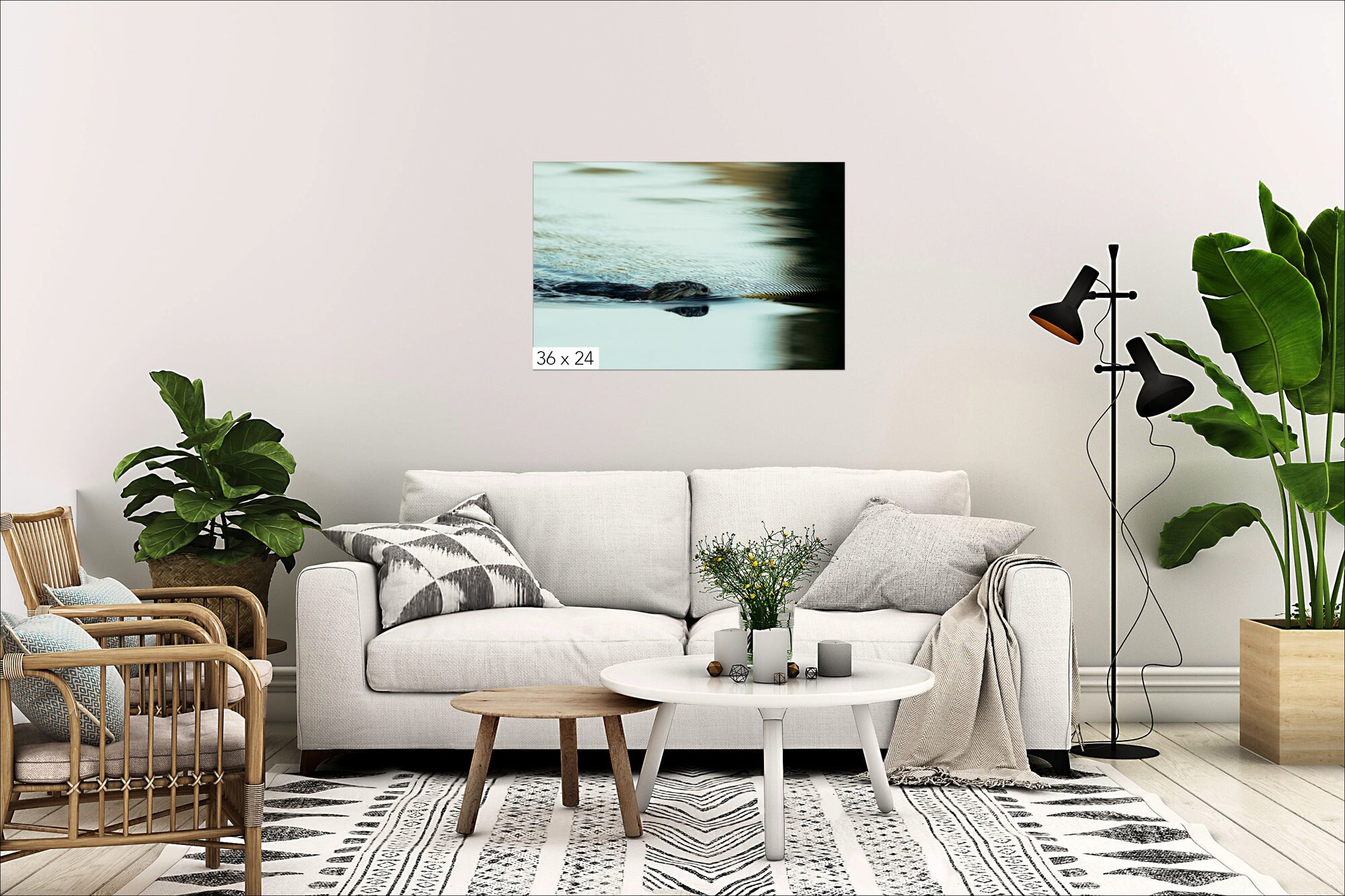 Muskrat Photo Muskrat Muskrat Decor Muskrat Art Wyoming Wildlife ...