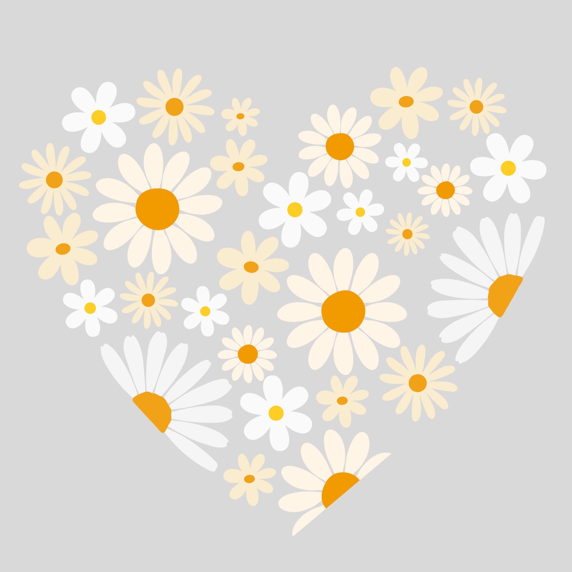 Daisy Heart Svg, Daisy Heart Png, Valentines Day Svg, Valentine Svg ...