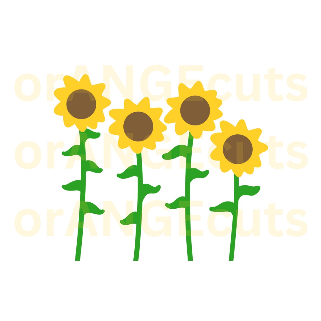 Sunflowers Clipart Sunflowers Svg Sunflowers Png Sunflowers