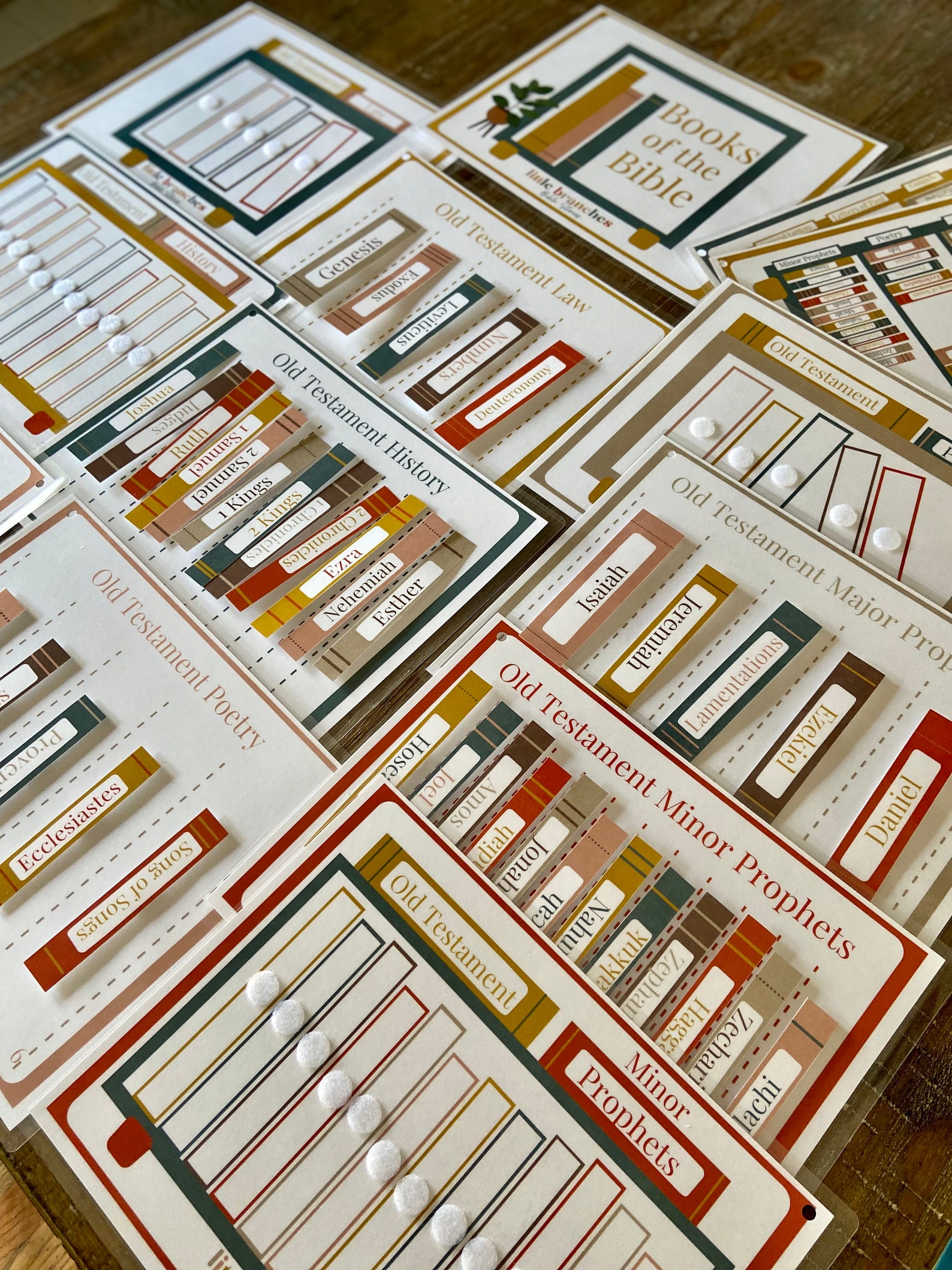 Books of the Bible Printable Workbook: Homeschool Sunday School (PDF ...