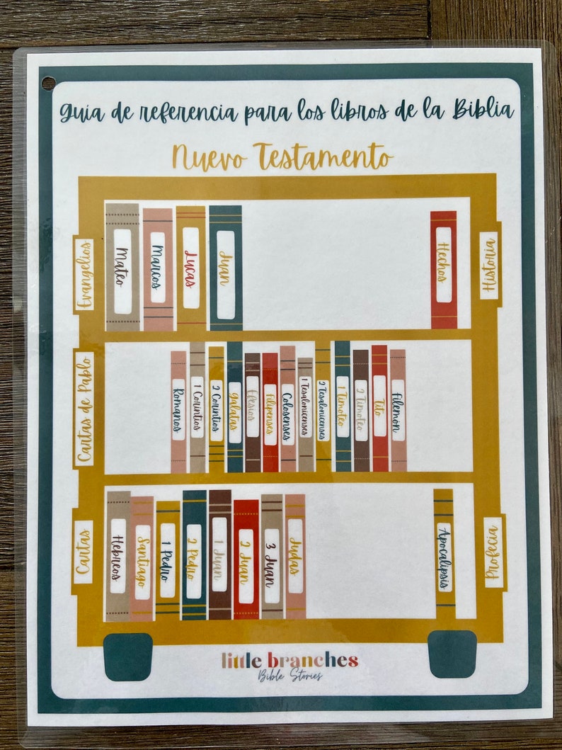 Spanish Books of the Bible Printable: Christian Homeschool Workbook ...