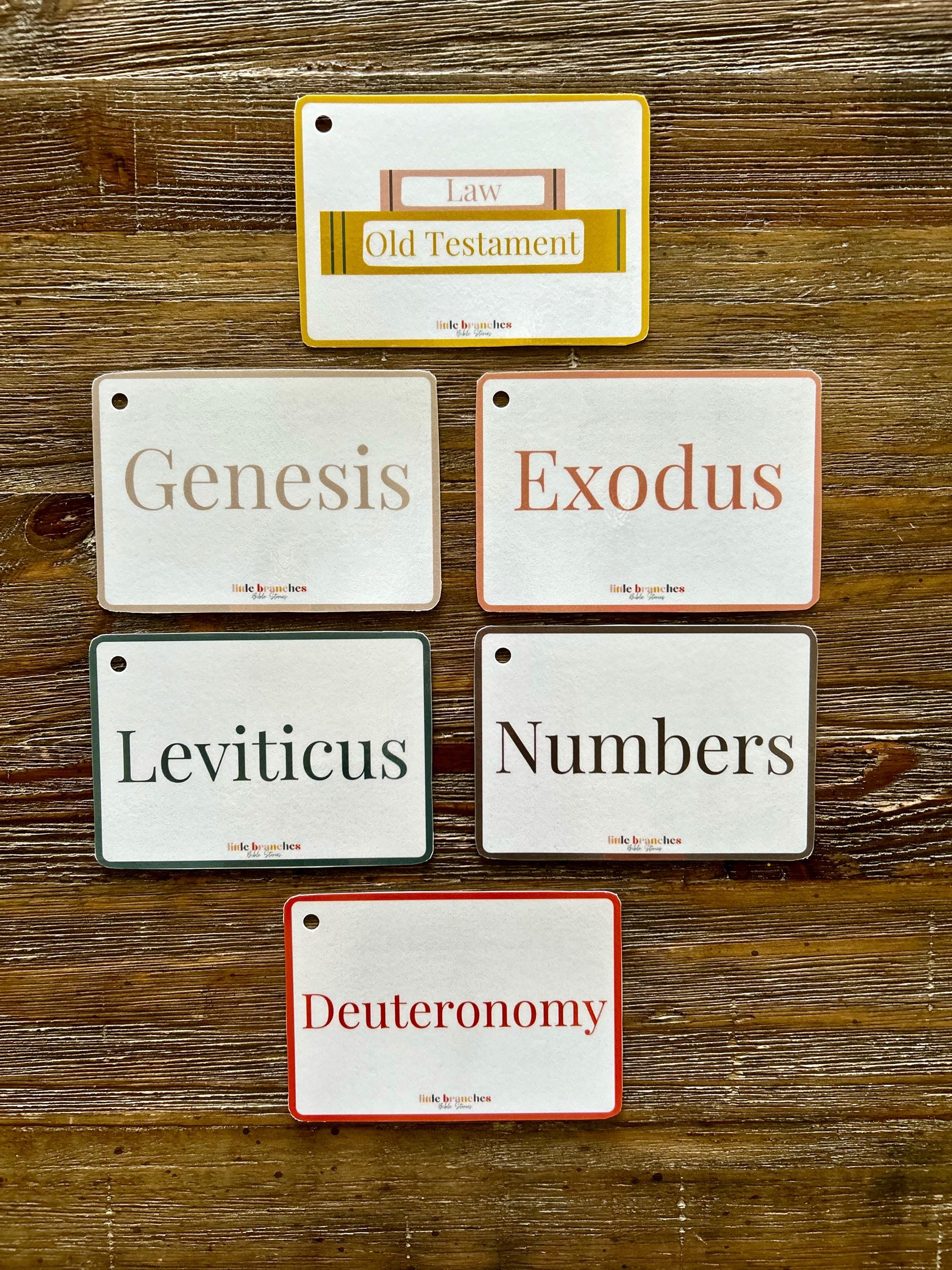 Books of the Bible Flashcards: Christian Homeschool Printable (PDF) - Etsy