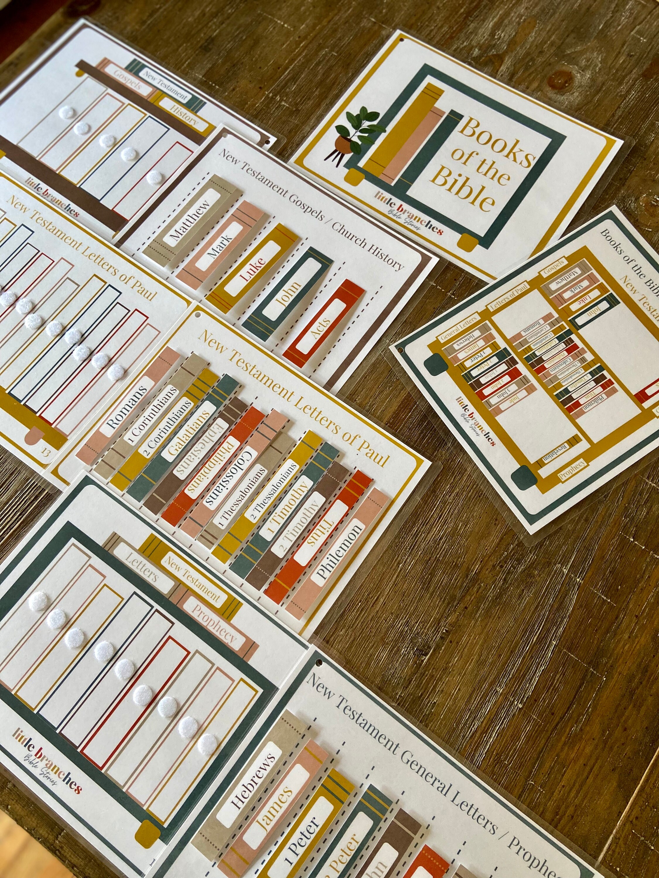 Books of the Bible Printable Workbook: Homeschool Sunday School (PDF ...