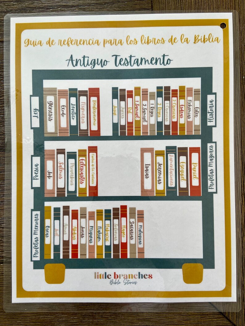 Spanish Books of the Bible Printable: Christian Homeschool Workbook ...