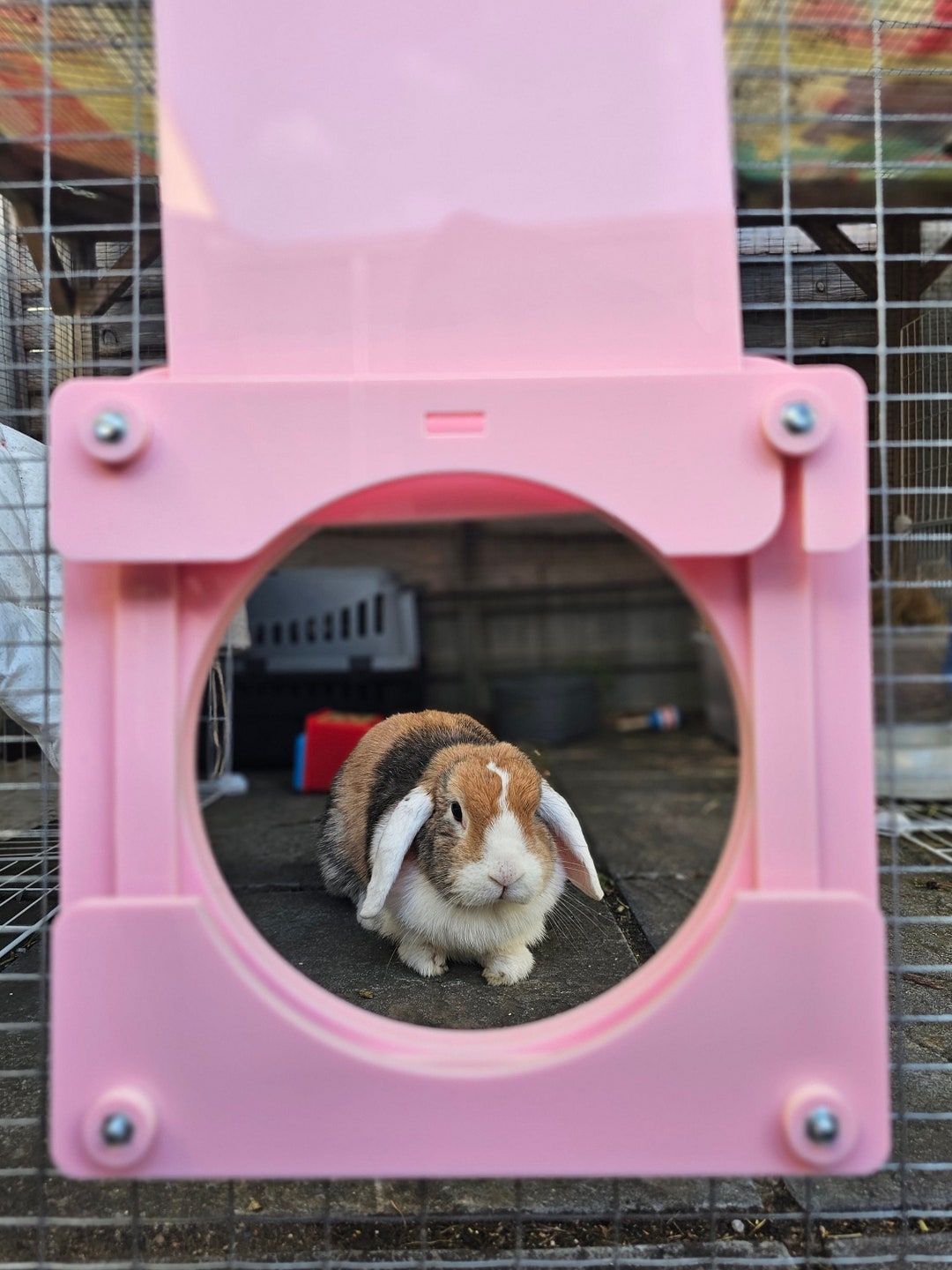 Rabbit Doorway Tunnel System Accessory Acrylic - Etsy UK