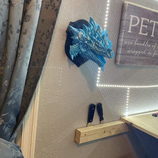 Trophy Wall Mount - Etsy