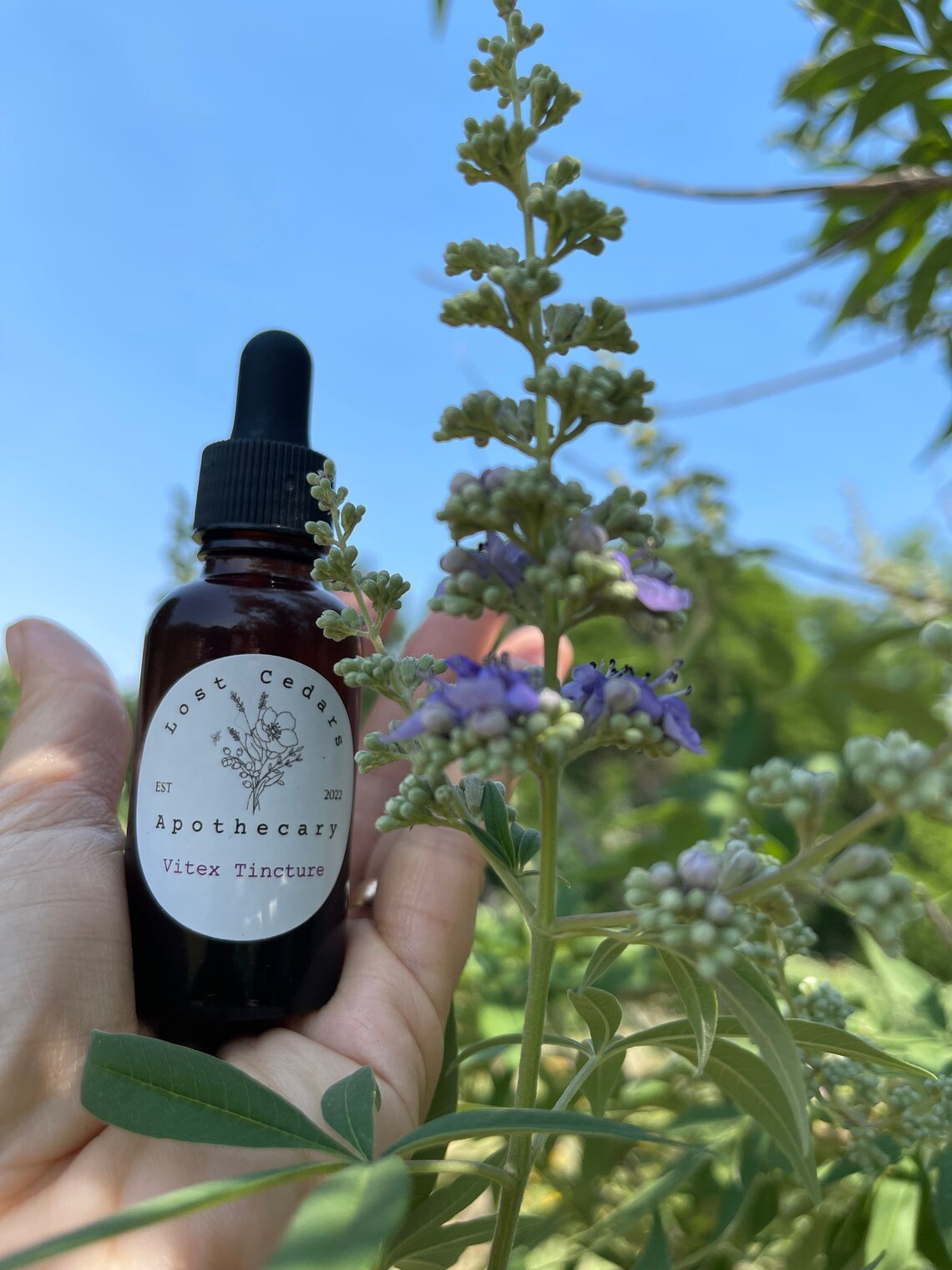 Vitex Tincture - Etsy