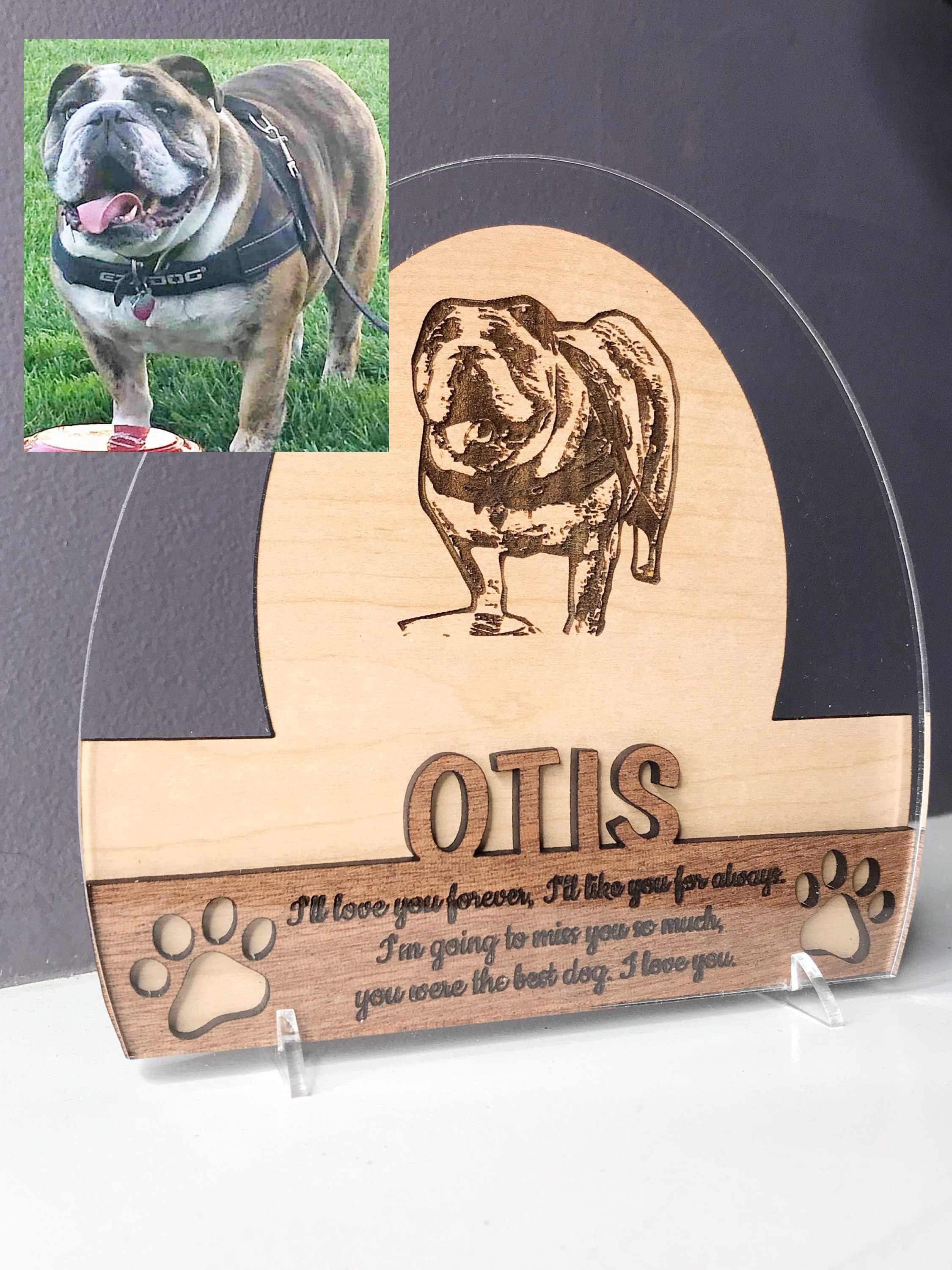 Pet Memorial SVG File Engraved Pet Portrait SVG Digital - Etsy