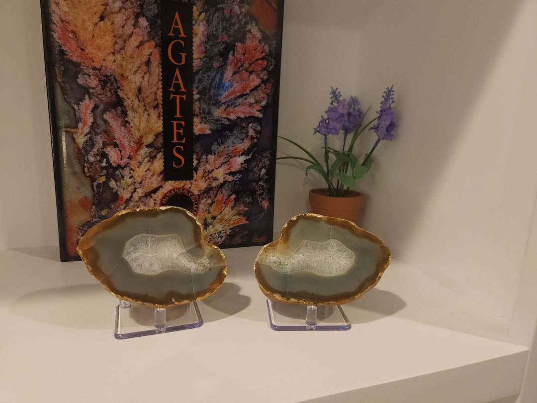 Brazilian Agate Nodule Halves W/stands Large - Etsy