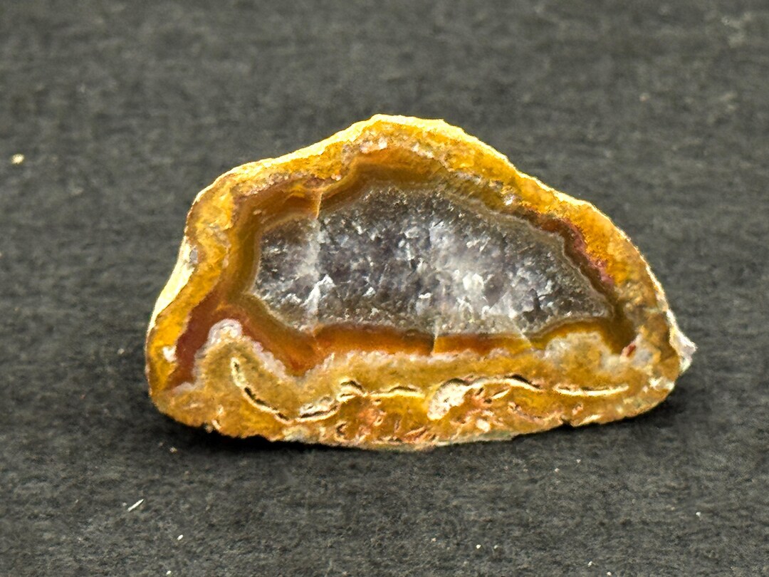 Pocket Rot Petrified Wood Slab end Cut - Etsy