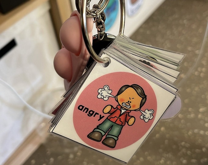 Lanyard Visuals - Non Verbal Communication - Special Education - Etsy