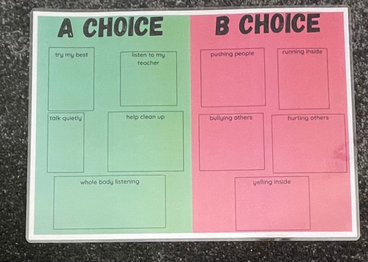 Behaviour Choices Visual Activity Differentiated Accessible for Special ...