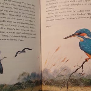 Shakespeare's Birds Peter Goodfellow, Illustrated by Peter Hayman 1983 ...