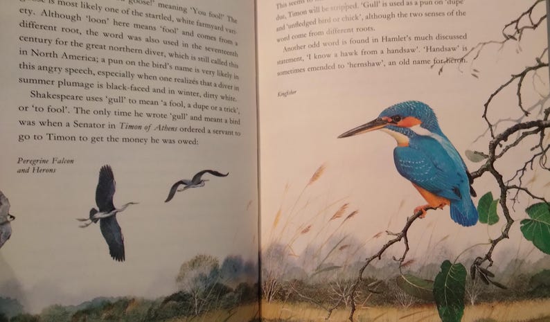 Shakespeare's Birds Peter Goodfellow, Illustrated by Peter Hayman 1983 ...