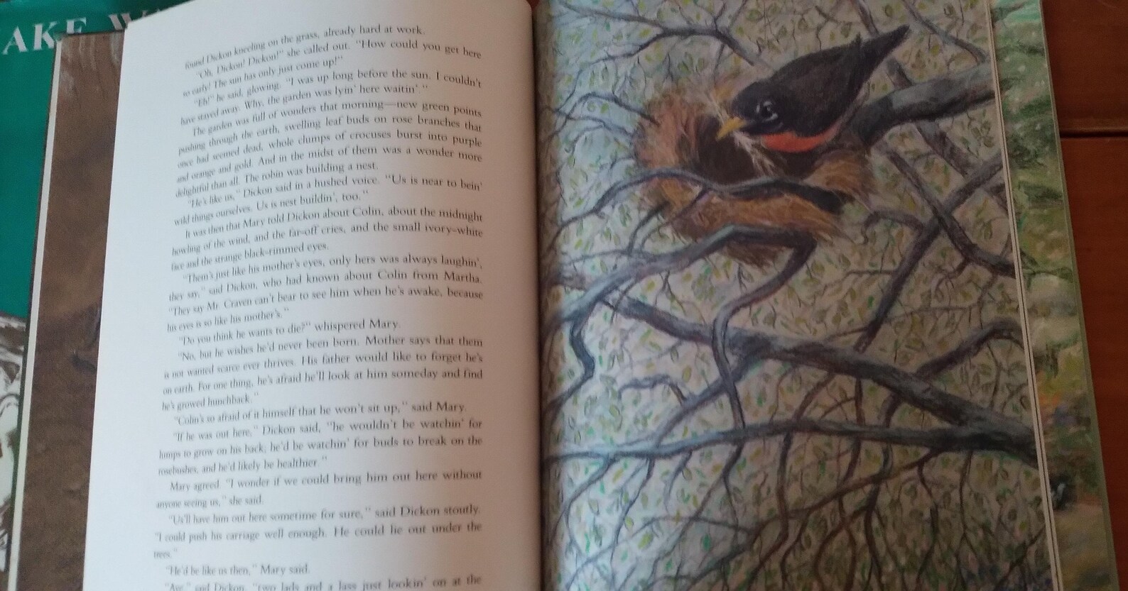 The Secret Garden Frances Hodgson Burnett Adapted by James Howe ...