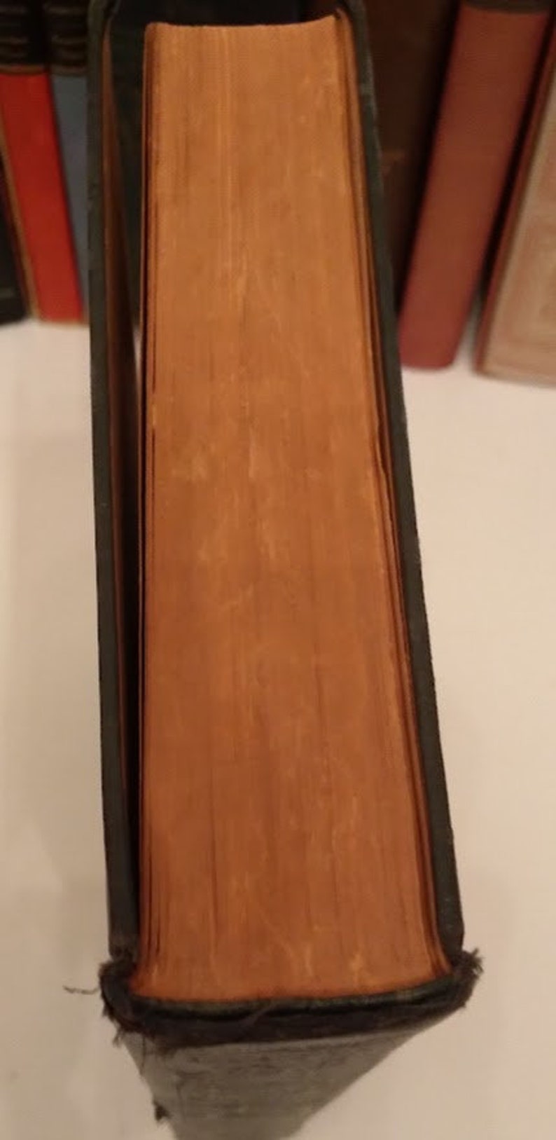 Little Men Louisa May Alcott Illustrated by Clara M. Burd 1928 - Etsy
