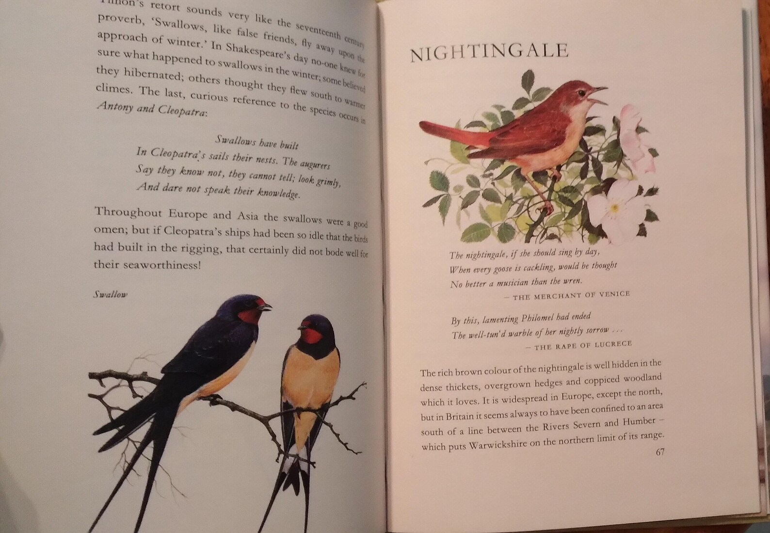 Shakespeare's Birds Peter Goodfellow, Illustrated by Peter Hayman 1983 ...