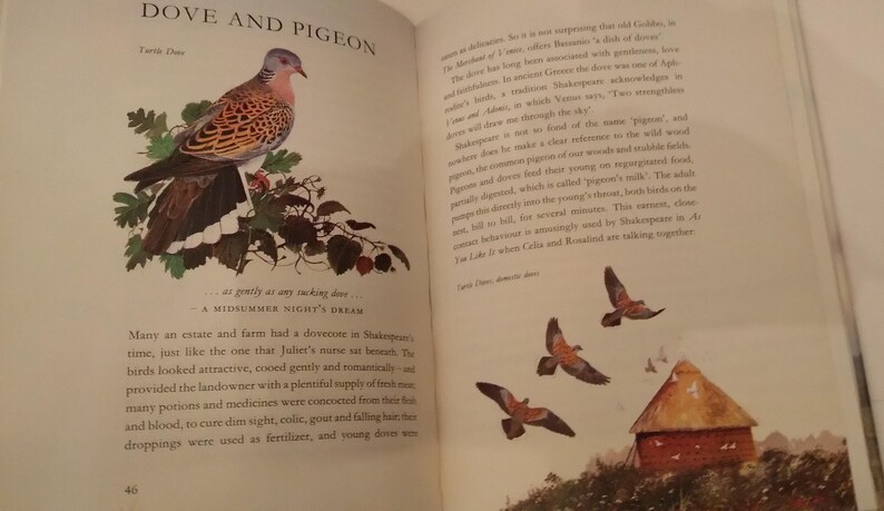 Shakespeare's Birds Peter Goodfellow, Illustrated by Peter Hayman 1983 ...