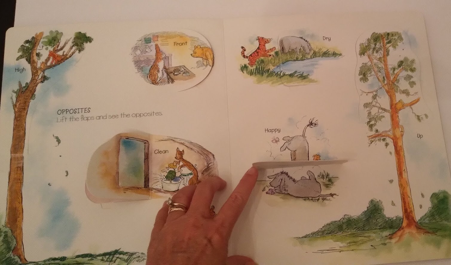 Winnie the pooh's GIANT Lift-the Flap Book 1997 - Etsy