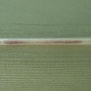 The World's Last Night and Other Essays C.S. Lewis 1960 First Edition ...