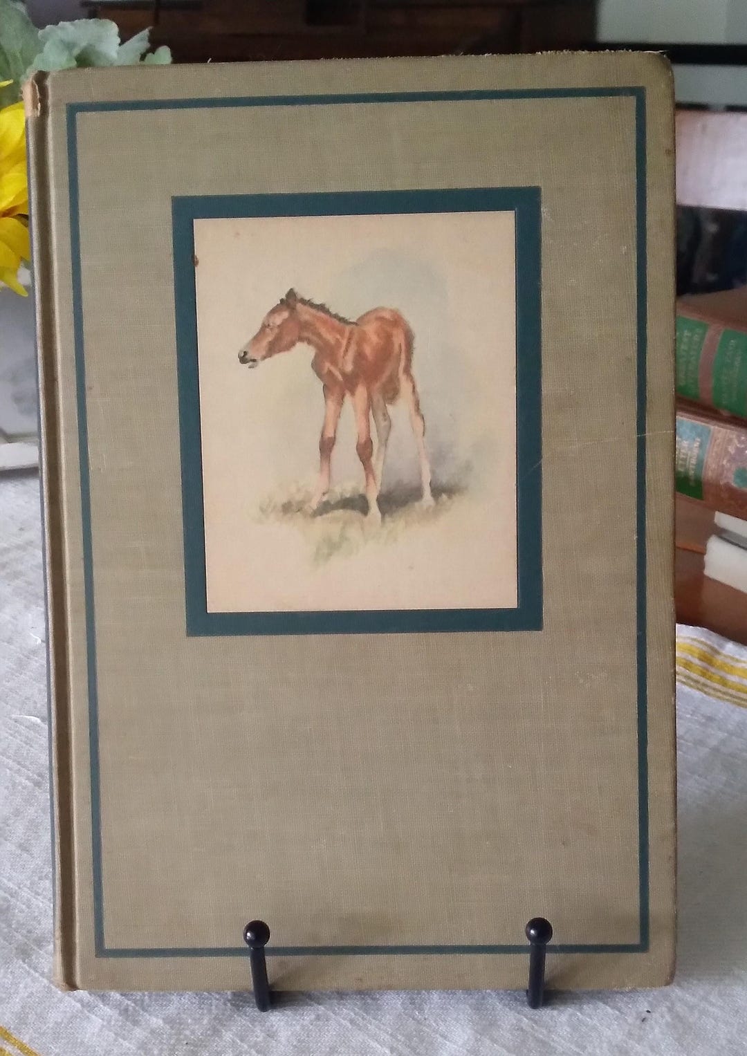 The Red Pony John Steinbeck Illustrated by Wesley Davis 1945 - Etsy