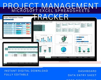 Project Initiation Excel Template Project Management Excel Spreadsheet ...