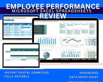 Employee Evaluation Spreadsheet - Etsy