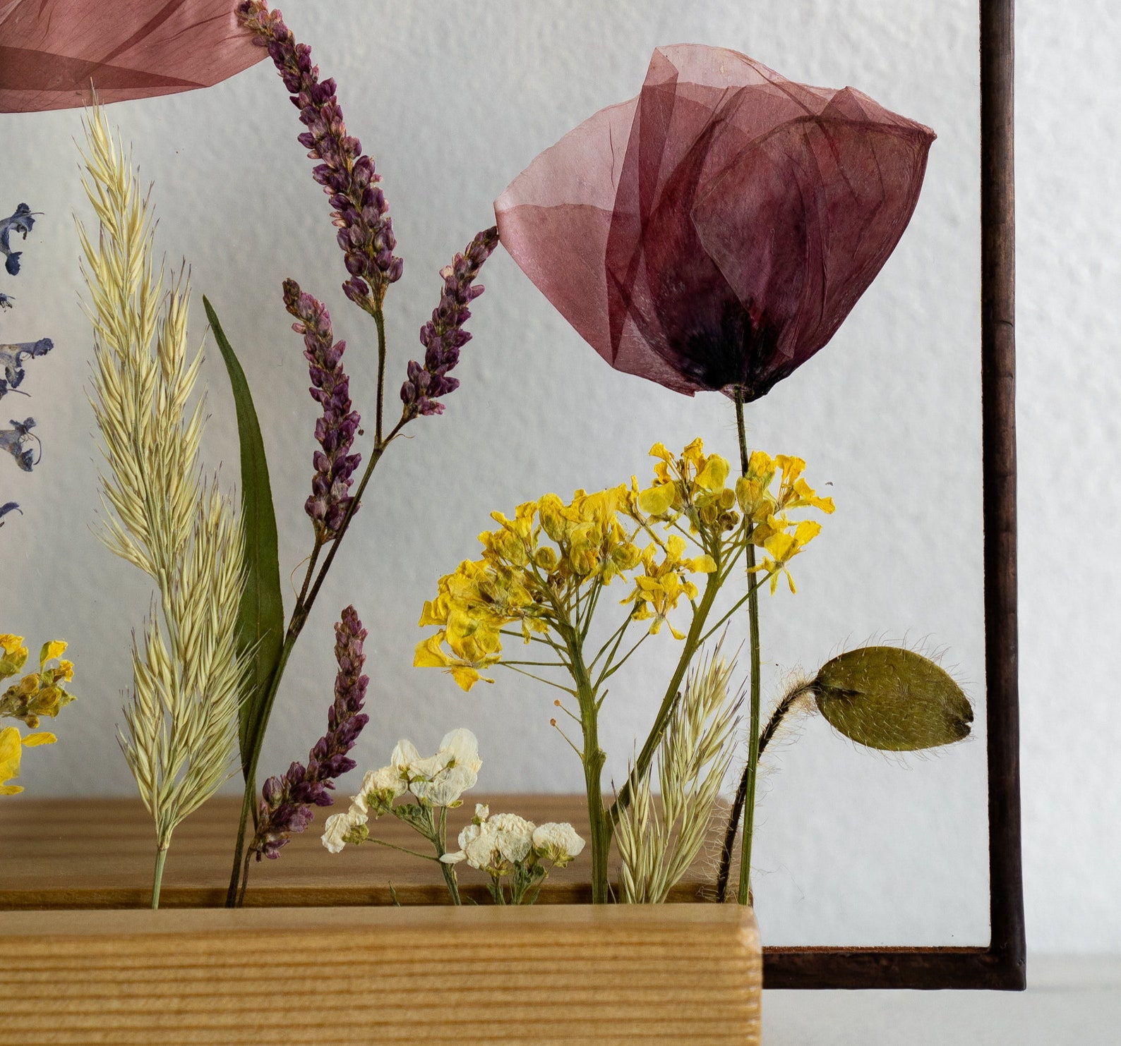 Red Poppies Real Pressed Flower Frame Poppy Meadow Square - Etsy