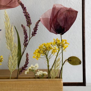 Red Poppies Real Pressed Flower Frame Poppy Meadow Square - Etsy