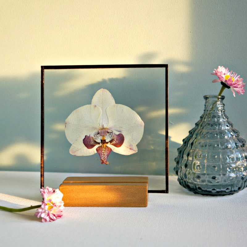 Pressed Orchid Art - Etsy