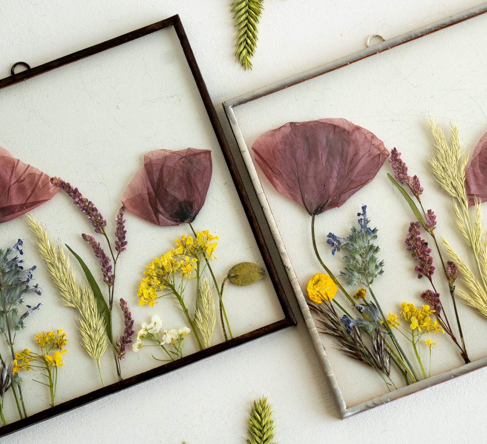 Red Poppies Real Pressed Flower Frame Poppy Meadow Square - Etsy